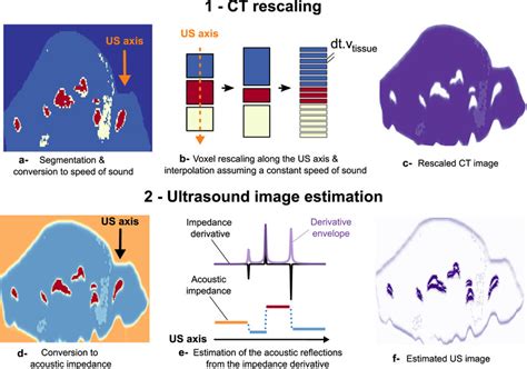 Mouse Phantom Fabrication Process A Segmentation Of The Mouse Cbct Download Scientific