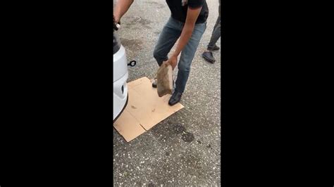 Peeingg Brothers Together