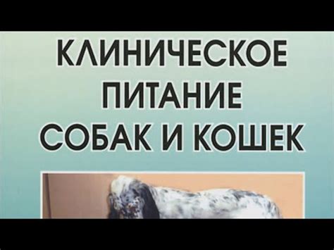 Как выбрать корм? - YouTube