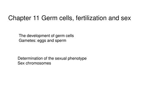 Ppt Chapter 11 Germ Cells Fertilization And Sex Powerpoint Presentation Id 2140718