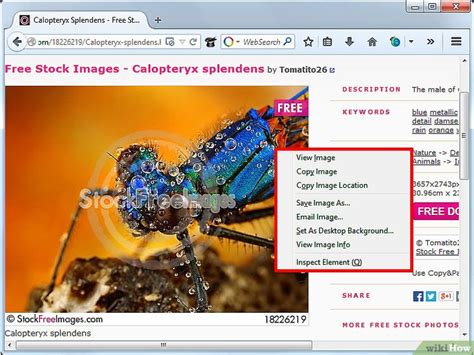 Cómo Desactivar El Script Que Evita Hacer Clic Derecho En Firefox