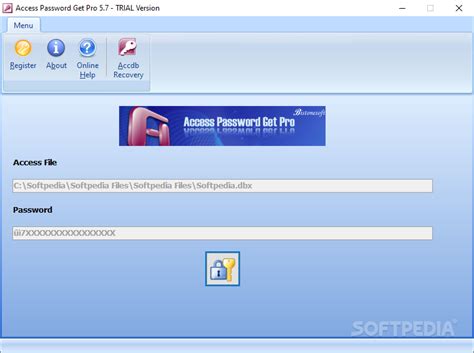 Access Password Get Pro Download Softpedia