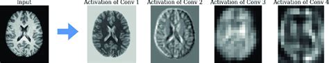Latent Activation Maps Of Convolutional Layers Preserve The Spatial