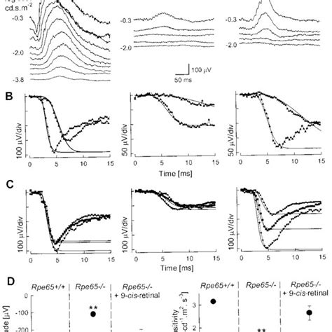 Restoration Of Retinal Function In Rpe65 Mice 48 H After 9 Cis Retinal
