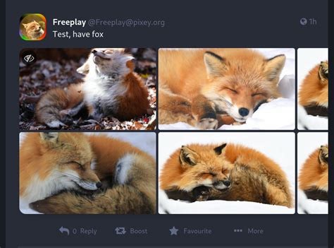 Dont Remove Extra Images Or Videos From Other Instances · Issue 19454