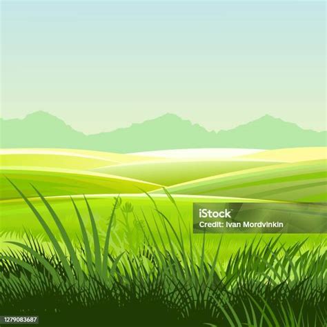 시골 언덕 풍경 벡터 소를 위한 목초지 잔디와 채소밭과 농장을 위한 장소 초원과 나무 수평선 아름다운 전망 여름 경관에 대한 스톡 벡터 아트 및 기타 이미지 Istock