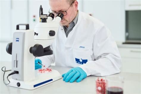 Screening Gmo Galab Laboratories Gmbh