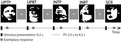 Predictive Coding Theory How Our Brains Recognize Faces From Minimal Information Science 2 0