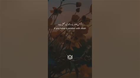 Owner：umme Kalsoom Youtube