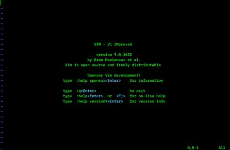 Bram Moolenaar Author Of The Open Source Vim Code Editor Has Died