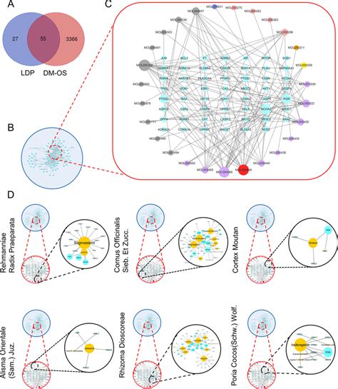 Composite Target Relationship Between Ldp And Dandl A The Quantity Of
