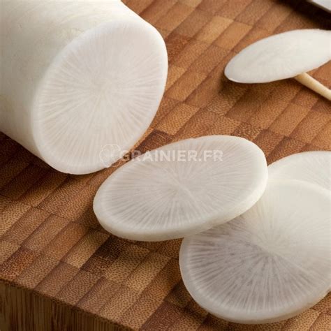 Graines Radis Blanc Du Japon Daikon Agata