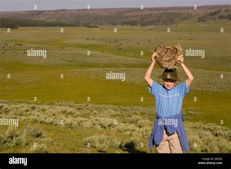 Boy Holds Bison Dung Chip Overhead In The Hayden Valley With Herd Of
