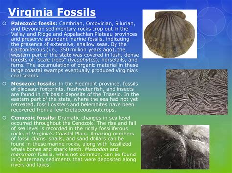 Fossils Geologic Time Dating And Resources PPTX Geology Science