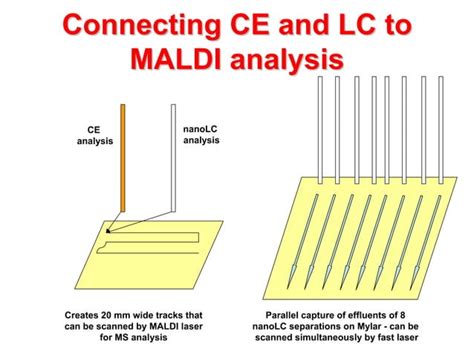 09maldi Tof Principal Of Mass Spectrometry Pdf Chemistry Science