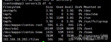 linux 查看磁盘空间 linux查看存储空间大小 csdn博客