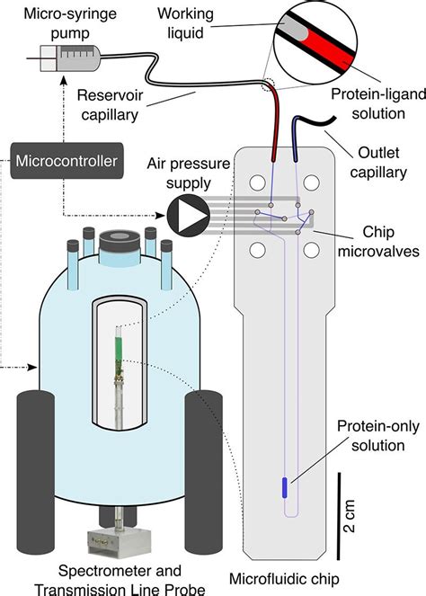 Automated Microfluidic NMR For Protein Ligand Interaction Analysis