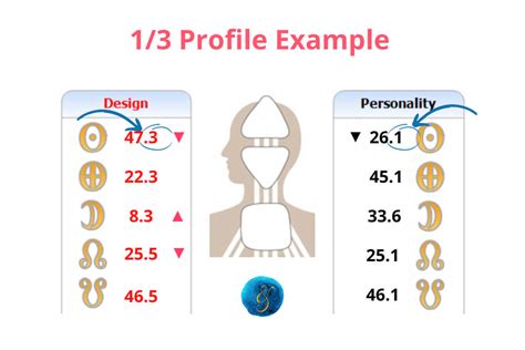 Understanding The Investigator Martyr Human Design Profile