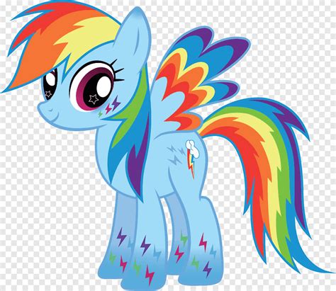 12 Best My Little Pony Rainbow Dash Costume Images On