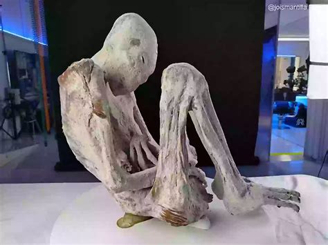 Scientists Make Astonishing Discovery Inside The Womb Of 1 200 Year Old