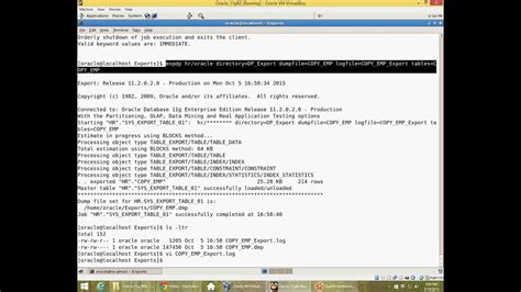 datapump exports youtube