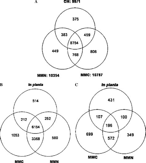 Venn Diagrams Showing The Number Of Probe Sets Detected Using Targets