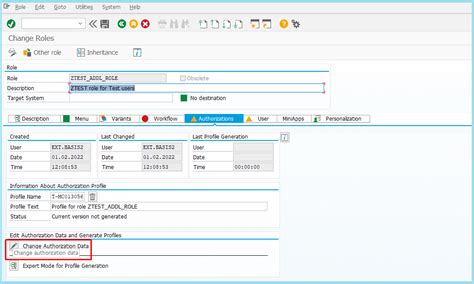 How To Create Copy User Role In SAP System ESDS