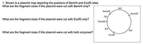 Solved 1 Shown Is A Plasmid Map Depicting The Positions Of Chegg Com
