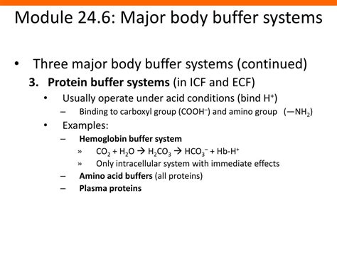 Ppt Homeostasis Powerpoint Presentation Free Download Id1138529