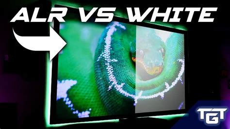 Alr Vs White Projector Screen Comparison Which Is Best For You