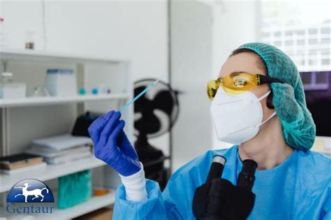 1x Dsdna Hs Assay Kit For Qubit™ Ultra Sensitive Dna Quantification For Molecular Workflows