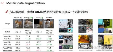 目标检测—yolo系列二 解读论文与复现代码yolov1 Pytorch 知乎