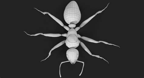 Ant Rigged D Model Max Fbx Obj Free D