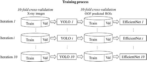 Training process for YOLO and EfficientNet. The YOLO network was ...