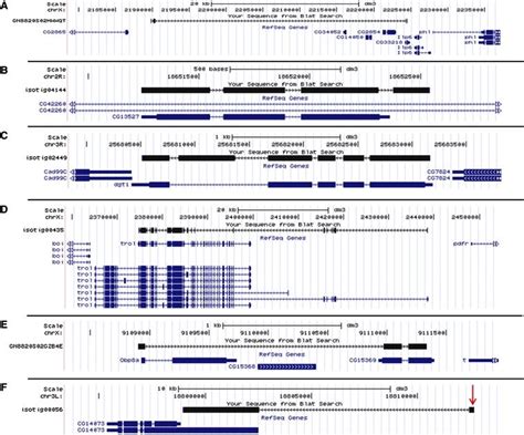 Examples Of Novel Transcript Isoforms Identified By Sequence Capture Download Scientific