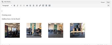 Php Wordpress Gallery Is Not Displaying Stack Overflow