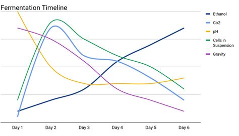 Beer Fermentation Time Chart