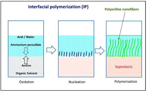 Scheme 5 Reaction Steps During Interfacial Polymerization Of Aniline Download Scientific