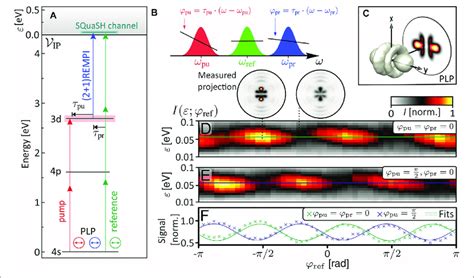 squash on potassium atoms using plp trichromatic pulse sequences a