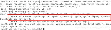 配置k8s出现以下错误“ proc sys net ipv4 ip forward contents are not set to 1” csdn博客