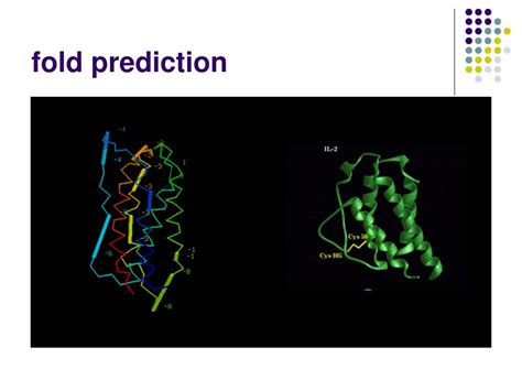 Ppt Prediction Of Protein Structure Powerpoint Presentation Free Download Id 403543