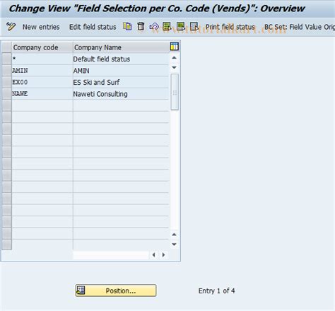 OT SAP Tcode C FI Maintain Table T K
