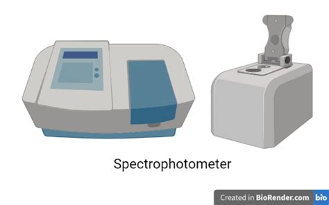 Spectrophotometer Principle Parts Types And Uses • Microbe Online