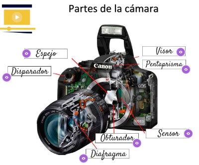 Partes De La Camara