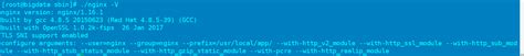 nginx漏洞升级：nginx 1 16 1 cve 2019 9511 csdn博客