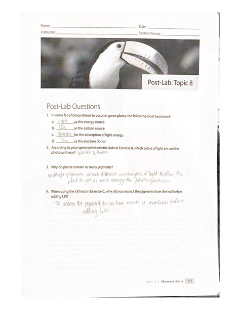 Post Lab Questions 8 9 10 By 123l Studocu