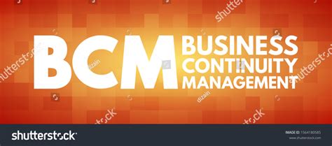 Bcm Business Continuity Management Framework Identifying Stock Vector Royalty Free 1564180585