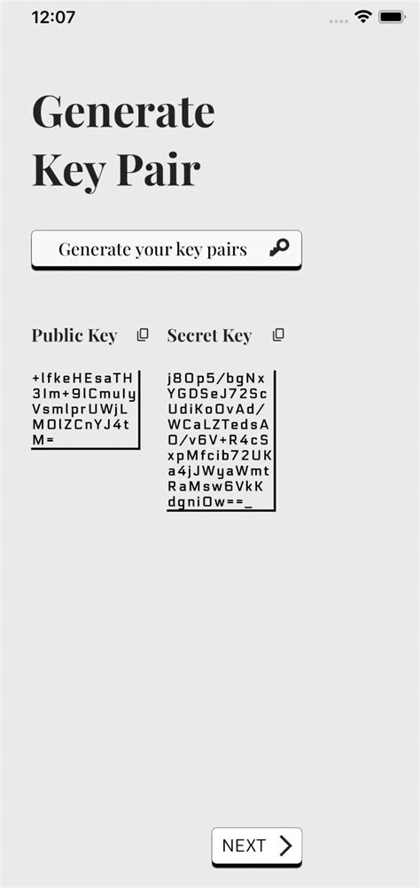 github cypherzox libsodium flutter example
