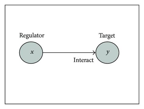 Regulator Target Pair In Genetic Regulatory Network Model A Basic