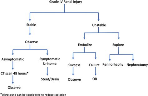 Pediatric Grade Iv Renal Trauma Algorithm Download Scientific Diagram